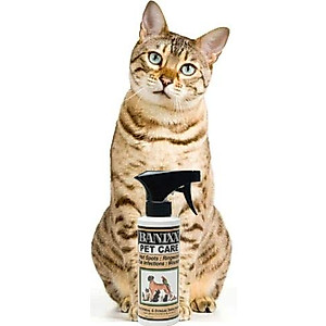 Banixx Pet Care 8oz for Ear Infections, Hot Spots, Itchy Dry Skin, Ringworm, Yeast Infections. Safe Around The Eye.