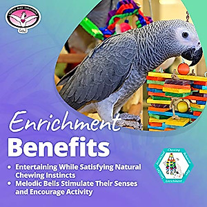 Super Bird Creations SB399 Woodpile Bird Toy, Large Bird Size, 11” x 7” x 7”