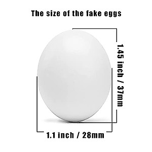 WOLEDOE 5Pcs Solid Plastic Parrot Fake Eggs, Keeping Them from Laying Anymore Eggs, Suit for Medium and Large Parrots, Pigeon, African Grey, Caique, Cockatoo, Sun Conures and Mini Macaw