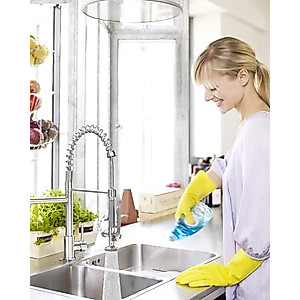 Fapully Kitchen Faucet with Pull Down Sprayer,Commercial Kitchen Sink Faucet with Deck Plate,Brushed Nickel