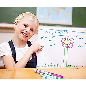 Rarlan Washable Markers Bulk, Markers for Kids, Bulk pack, 12 Colors, 240 Count