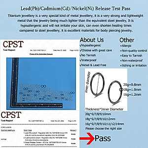 20g Small Nose Rings Hoops Grade 23 Titanium Black Hinged Seamless Rings Clicker Sleeper Top Cartilage Daith Rook Snug Tragus Piercing Hoop Earrings 7mm