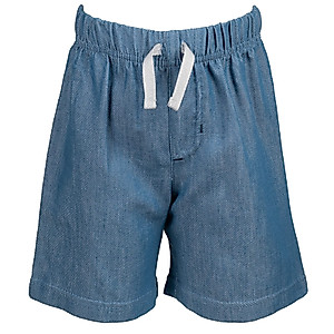 Sesame Street Oscar the Grouch Cookie Monster Elmo Toddler Boys Polo Shirt and Shorts Gray/Blue 2T