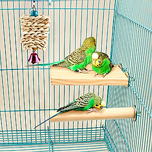 Hummingbird Bird Nest, Handwoven Straw Grass Hanging Bird Hut Grass Woven Parakeet Breeding Cave Cozy Resting Place Sparrow House for Cockatiel Parrots Parakeet Conures Finch (H02)