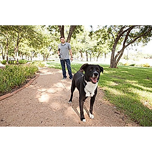 Petmate K9 Control Retractable Dog Walking Leash, Large, Up to 120lbs, 20’ tape, includes zeroslack technology allowing leash to retract while in locked position