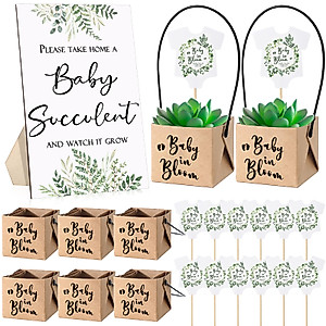 Geetery 101 Pcs Baby Shower Party Favors 1 Baby Shower Decoration 50 Baby in Bloom Tag 50 Kraft Paper Succulent Pots baby Succulents Favors for Guest Gift, NOT Include Plant (Greenery)