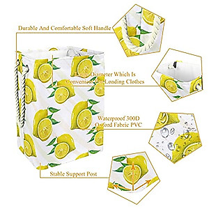 Inhomer Summer Fruit Lemon Cutting Pattern Large Laundry Hamper Waterproof Collapsible Clothes Hamper Basket for Clothing Toy Organizer, Home Decor for Bedroom Bathroom