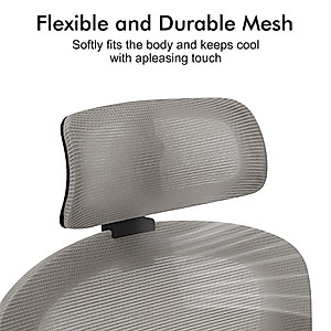 Apusen Ergonomic Office Chairs with Adjustable Lumbar Support,Mesh Desk Chair with Adjustable Arms and Wheels,Computer Desk Chair for Home Office Essentials（Headrests,Black）