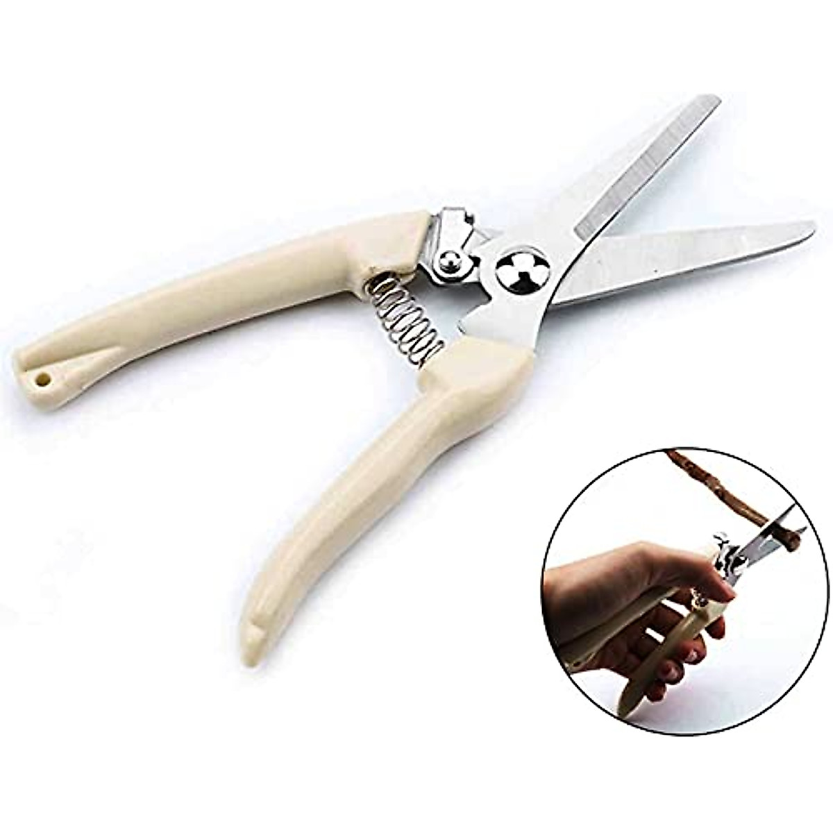 spdtech Straight Garden Scissors Sharp Garden Shears for Cutting Flowers Trimming Plants Bonsai Fruits Picking White