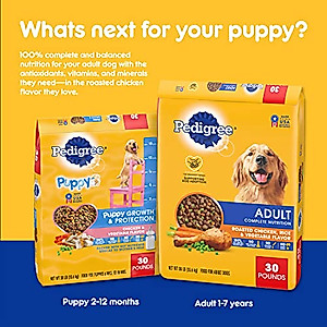 PEDIGREE Puppy Growth & Protection Dry Dog Food Grilled Steak & Vegetable Flavor, 3.5 lb. Bag