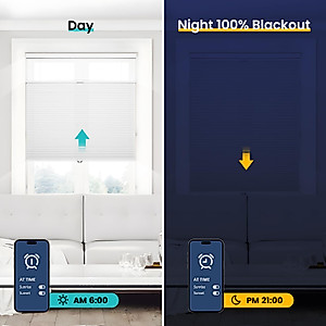 Grandekor Top Down Bottom Up Cellular Shades Cordless, Pull Down Honeycomb Blinds for Windows Room Darkening Blinds & Shades for Living Room Bedroom, Blackout, White, 32" Wx64 H