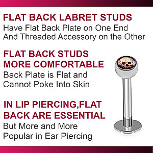 bodyjewellery 16g 16 gauge 5/16 Inch Surgical Steel Lip Bar Labret Ring Monroe Ear Tragus Stud Bar Ball 4mm Skull Logo Piercing 2Pcs AHGC