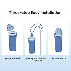 Waterspecialist NSF Certified Pitcher Water Filter, Replacement for Pur® Pitchers and Dispensers PPT700W, CR-1100C and PPF951K, Water Filter (Pack of 3)