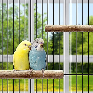 Tfwadmx Parakeet Perch Bird Stand Toy Natural Wood Platform Grinding Nail Cage Accessories for Small Birds Cockatiels Lovebirds Budgie Parrots 8 PCS