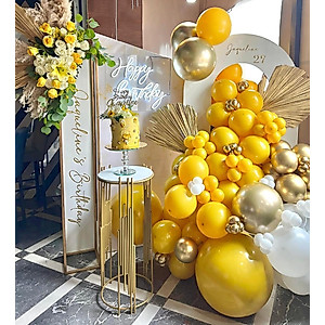 Yellow Balloons, 100Pcs 12 inch Bright Yellow Latex Balloons Round Helium Balloons for Birthday Wedding Anniversary Sunflower Party Backdrop Decorations