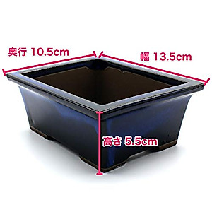 Bonsai Pot Ceramic Rectangle Glazed (5.25", Namako-Yu)