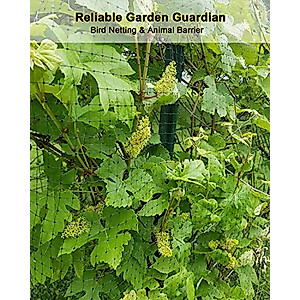 KLEWEE Bird Netting, 7.5 x 100 FT Heavy Duty Garden Netting for Protect Fruit Trees, Plants and Vegetables Against Birds, Deer, Squirrels and Other Animals