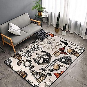 SWEET TANG Area Rugs Vintage Skull Skeleton Spider Web Witch Board Gothic Shag Rug Soft Carpet for Living Room Bedroom Indoor Dorm Floor Comfy Home Decor Mat, 60x39