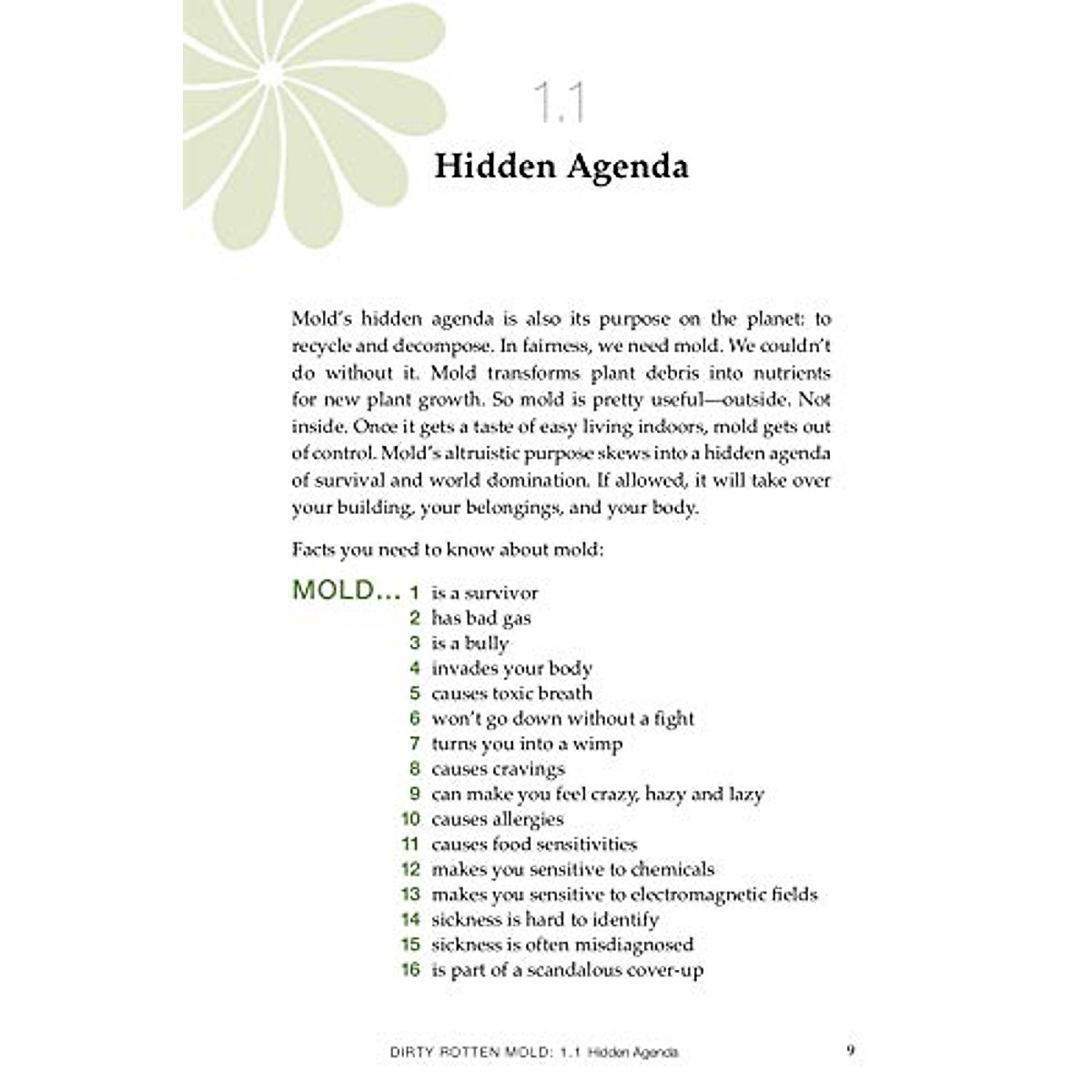 Break the Mold: 5 Tools to Conquer Mold and Take Back Your Health