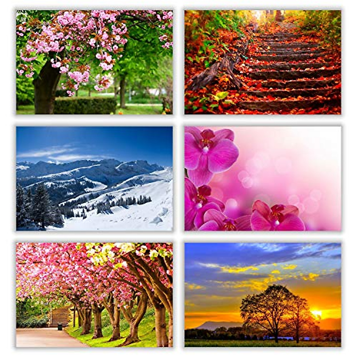 PARTH iMPEX Seasonal Nature Postcards - (Pack of 54) 4"x6" Bulk Variety of Fall Autumn Winter Summer Spring Theme with Mailing Side - all Occasion Cards