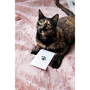 Pearhead Small Pet Paw Print Clean-Touch Ink Pad and Imprint Cards, for Small Sized Cats or Dogs, Pet Owner Gifts, DIY Keepsake Pawprint Maker, Black