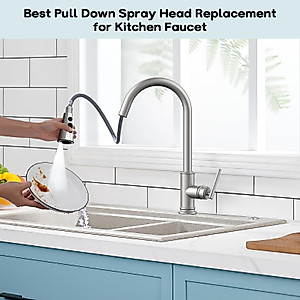DEERFEI Pull Down Kitchen Faucet Spray Head Replacement, 3-Function Nozzle with 11 Adapters, Brushed Nickel