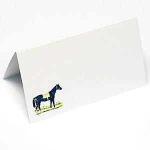 Nancy Nikko Place Cards with Race Horse Illustration for Equine Themed Dinner Parties and Events. Table Tent Style, Scored for easy folding. Available in Packages of 12 and 25 (12)
