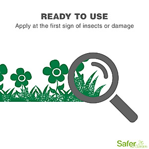 Safer Brand Garden SG5110 Insect Control and Killer Spray – Kills Aphids Beetles, Boxelder Bugs, Caterpillars, Earwigs, Spider Mites, Stink Bugs & More – Natural Oils Gentle on Plants – 24 fl oz