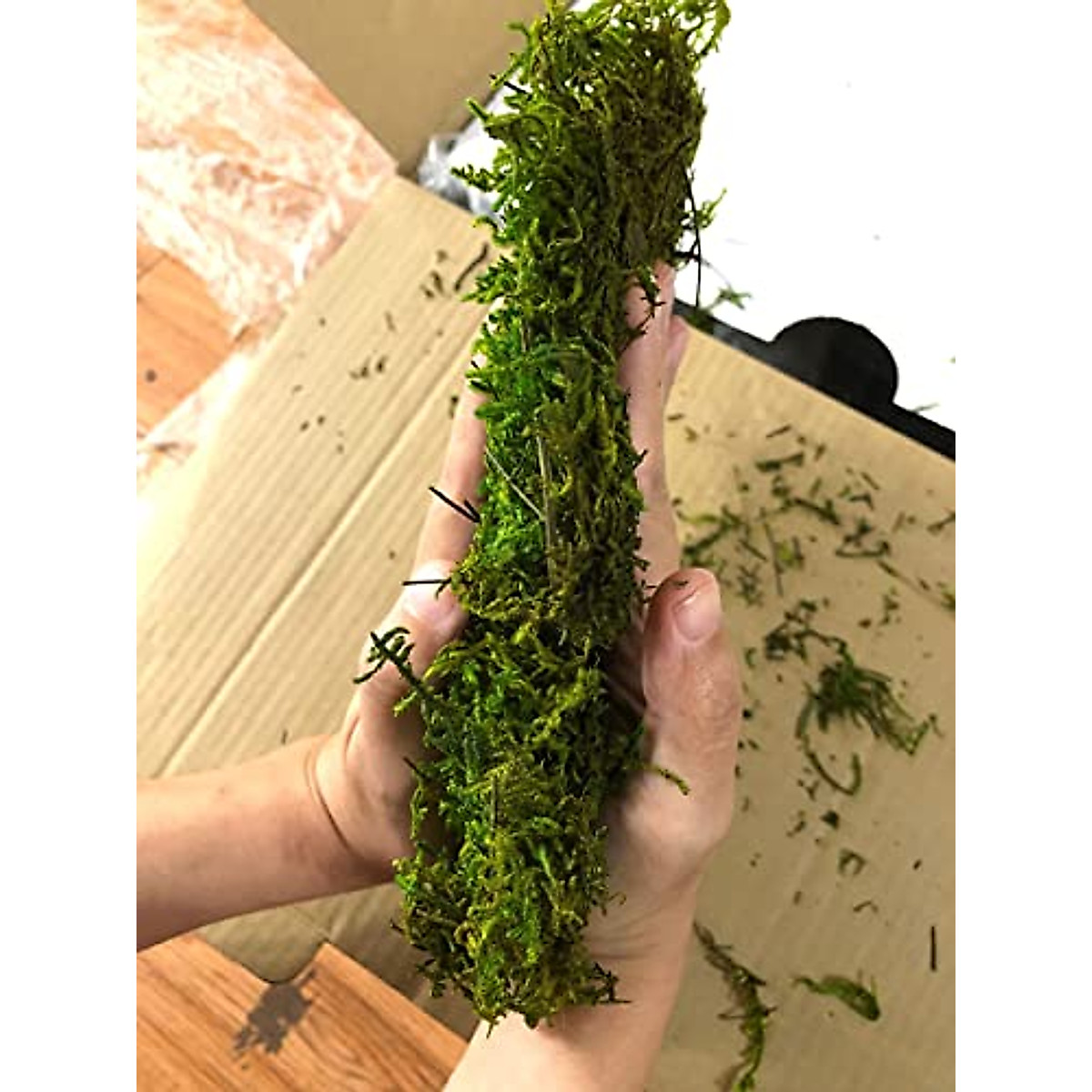 prefleur Preserved Sheet Moss Natural Green Decorative Real Natural Green DIY Kit Gardenning Art Wall Decor Florist Decor Easter Table Decor Wedding(2 sq.ft.) (Green-B)