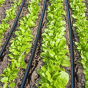 JAYEE 25 Pack Drip Irrigation Barbed Coupling Fittings (17mm) for 1/2" Drip Hose(0.600”ID), Sprinkler Tubing Connector for Drip System