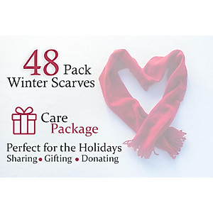 48 Pack Winter Scarves, Warm Winter Fleece Scarf Bulk Wholesale Donation Unisex Men Women (Assorted Colors)
