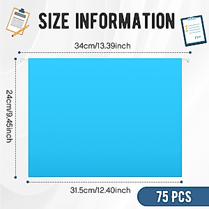 Estune 75 Pcs Hanging File Folders with Tab Letter Size Hanging Folders File Folder File Organizer for Office Cabinet Document Storage Supplies (Blue)