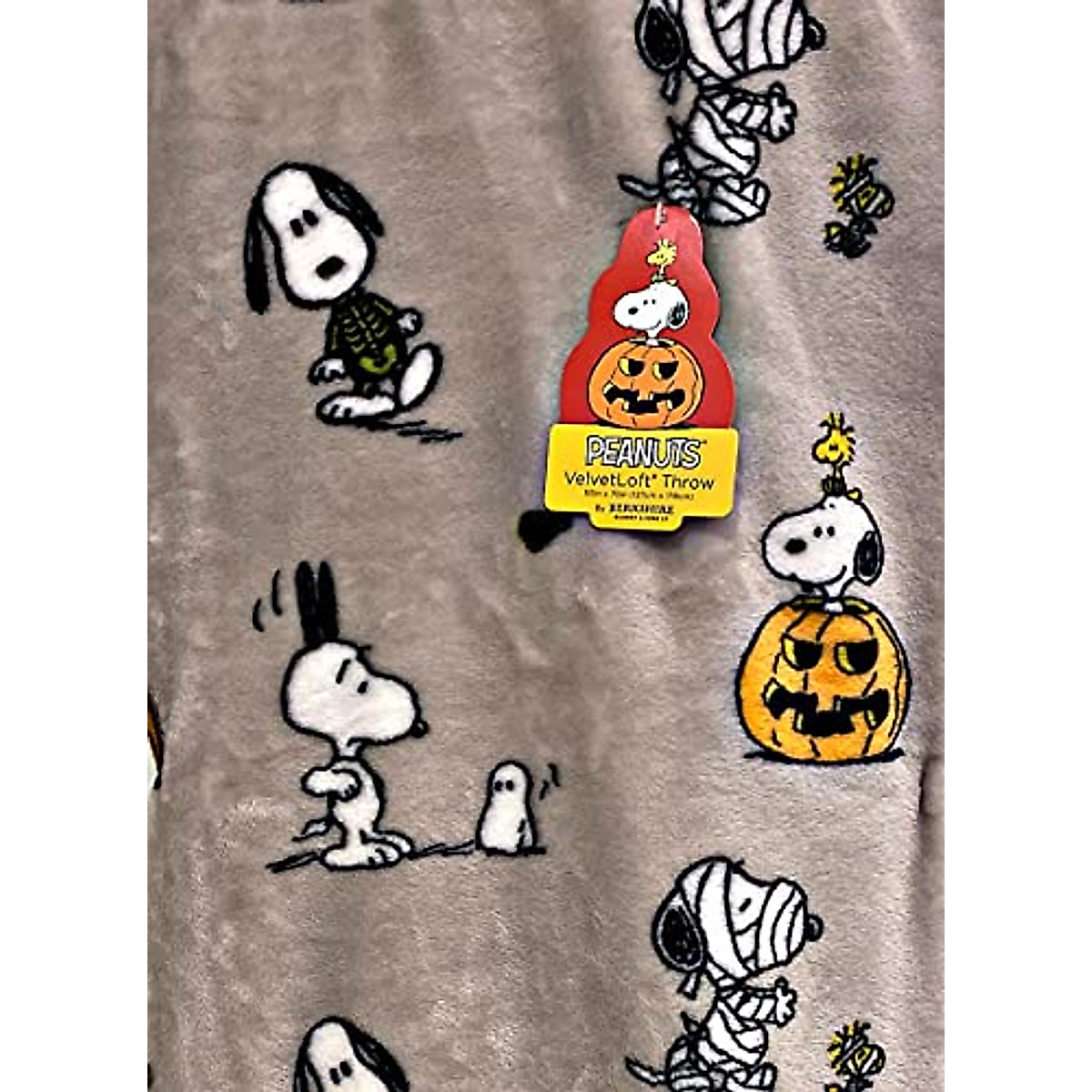 Peanuts Gang Snoopy Halloween Velvet Soft Plush Throw Featuring Beloved Snoopy & Woodstock with Halloween Motif | 50" x 70"