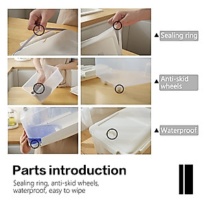 LivLab Rice Container - 10lbs Flour Dispenser with Lids & Cup BPA Free Kitchen Extra Large Storage Containers Cat/Dog Food Storage Container (10lbs)