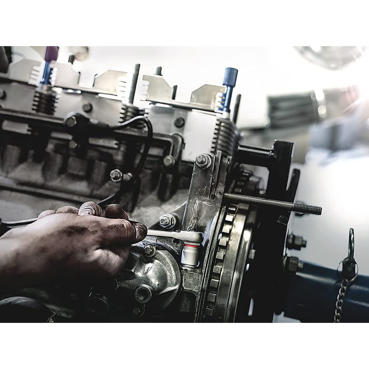 Wera - 5003510001 Zyklop 8790 HMA 1/4" Socket, Hex head 11mm x Length 23mm