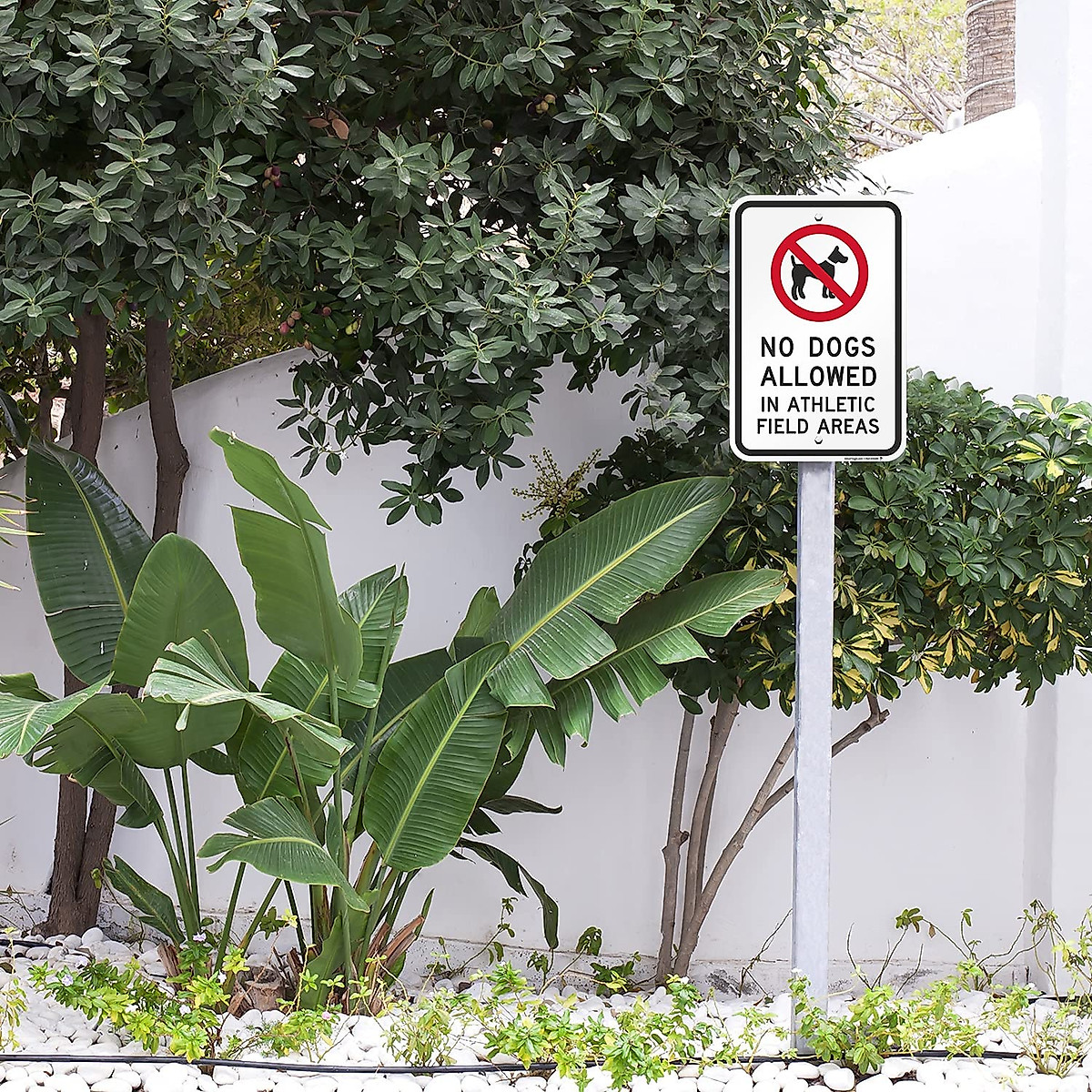 SmartSign No Dogs Allowed in Athletic Field Areas Sign - 2 Pack, 18 x 12 inch, 2mm Thick Aluminum Composite, Red/Black on White, Made in USA