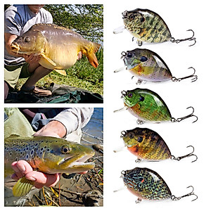PENCHEN 5PCS Fishing Lures 6cm 15g Mini Wobbler Fishing Lure Artificial Hard Bait Crankbait with Tackle Box for Fish Bass