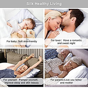 Ravmix Silk Pillowcase for Hair and Skin with Hidden Zipper, Both Sides 21 Momme Silk Pillow Case, Standard Size 20×26 inches, 1PCS, Silver Grey