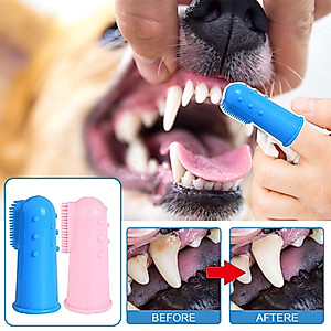 Qubccum 8 Pack Small Dog & Cat Toothbrush Kit, 360º Pet Toothbrush/Mini Head/Dual Head / 10000 Ultra-Soft Bristles Tooth Brush/Finger Toothbrushs for Cat Kitten Doggie Dental Care, Oral Hygiene