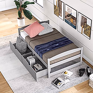 Lifeand Twin Size Daybed with 2 Drawers,Wood Storage Platform Bed for Kids Teens and Adults,No Box Spring Needed,Gray