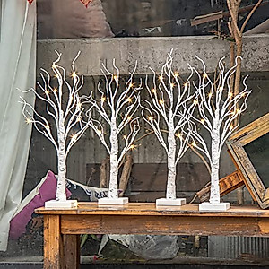 EAMBRITE Home Decorations Light Up Tree Indoor,Set of 4, Battery Operated Tabletop Birch/Bonsai Tree Led Lights Money Tree Wedding Party (2FT / Warm White)