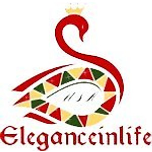 Eleganceinlife Aguas Frescas 5 Gallon Vitrolero Plastic Water Container For Water and Juice Party