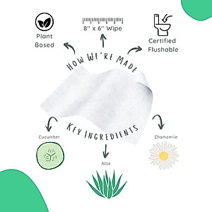 Stall Mates Wipes: Flushable, individually wrapped wipes for travel. Unscented with Vitamin-E & Aloe (30 on-the-go singles)