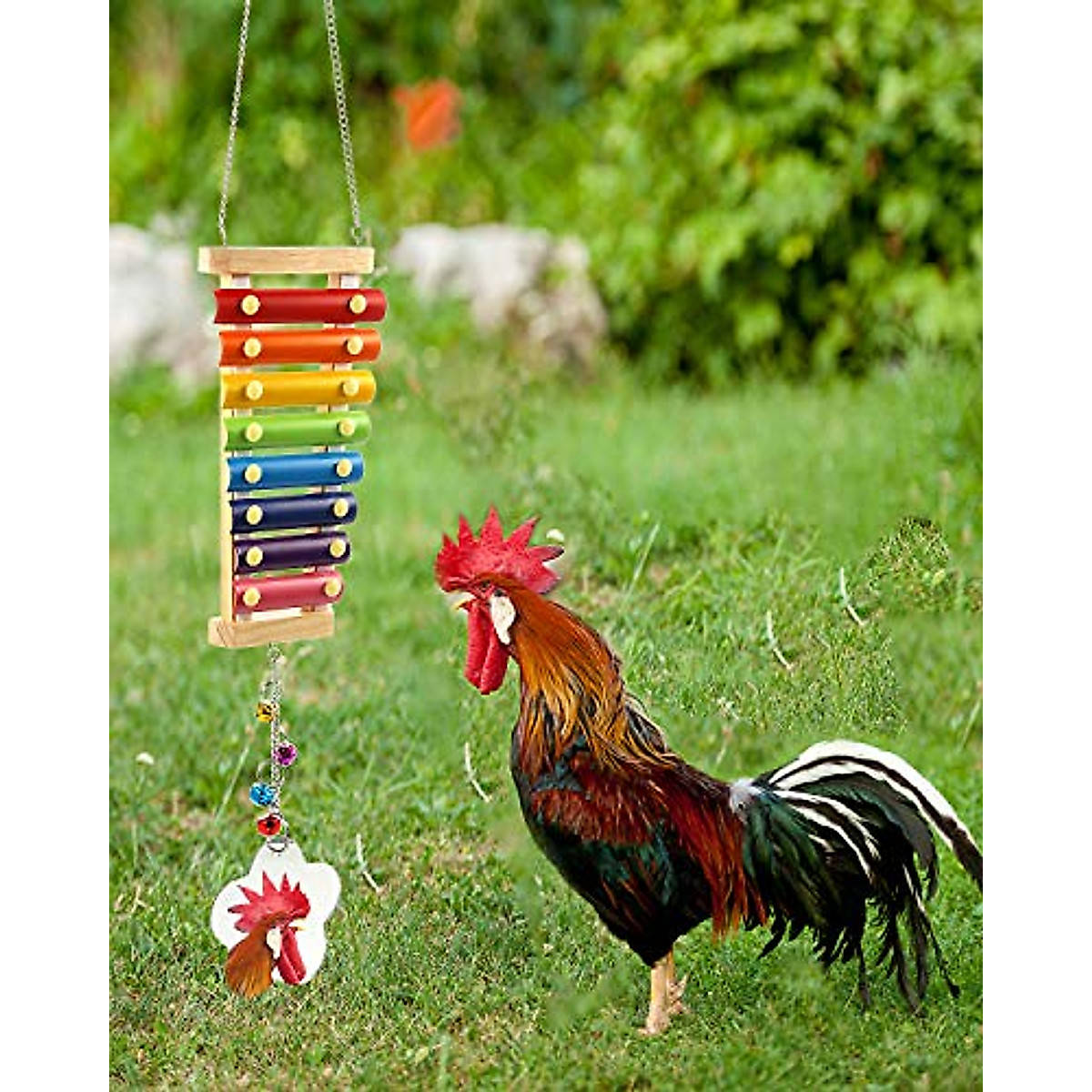 Woiworco 4 Packs Chicken Toys for Hens in Coop, Chicken Xylophone Toy with Mirror, Vegetable Hanging Feeder and Chicken Swing Toys Chicken Supplies Chicken Coop Accessories for Your Chicken Gift