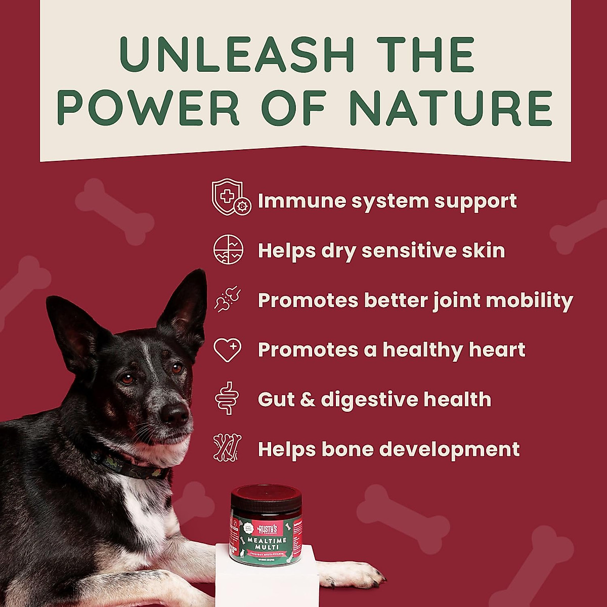 Premium Dog Multivitamin Supplement (170 Chews) - Mealtime Multi - with CoQ10 - Probiotics - Pumpkin - Immune Support - Promotes Better Joint Mobility - Healthy Skin & Coat - Made in The USA