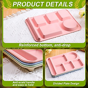 Pinkunn 8 Pcs Large 14 Inch Wheat Straw Divided Plates Unbreakable Divided Plates Dinnerware Set Microwave Dishwasher School Lunch Tray Lightweight Plates(Multicolor)