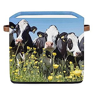 Funky Qiu Storage Cube Bins Farm Flower Cow Large Collapsible Storage Basket with Handle Decorative Storage Boxes for Toys Organizer Closet Shelf Nursery Kid Bedroom,13x13x13