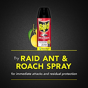 Raid Ant and Roach Killer, Lemon Scent, 17.5 OZ (Pack of 12)