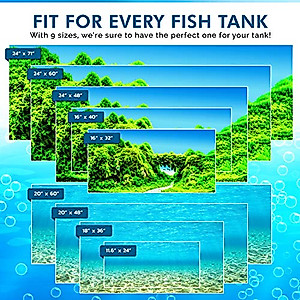 JUBMACH Premium Aquarium Background Poster | Underwater World Fish Tank Background Aquarium Background Decoration Terrarium Background Durable PVC Double Sides Undersea Backdrop Picture (24 x 71)