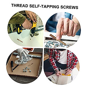 VILLCASE 60pcs Pet Self-Tapping Headed Sturdy Hanger Double Joint Tapping for Household Legs Self- Accessories Fastener Outdoor Connection Wood Furniture M and Screws Bolts Screw